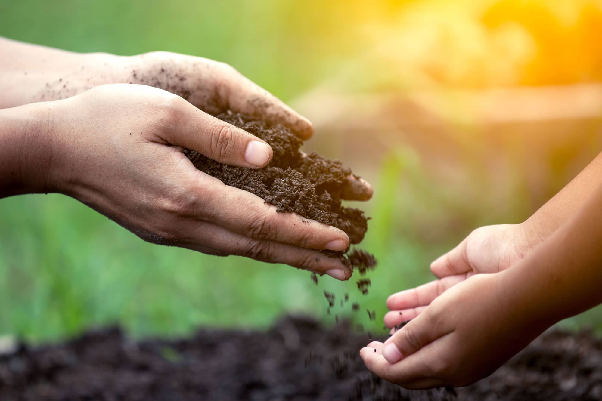 Organic Gardening and Landscaping Products - Garden-Ville